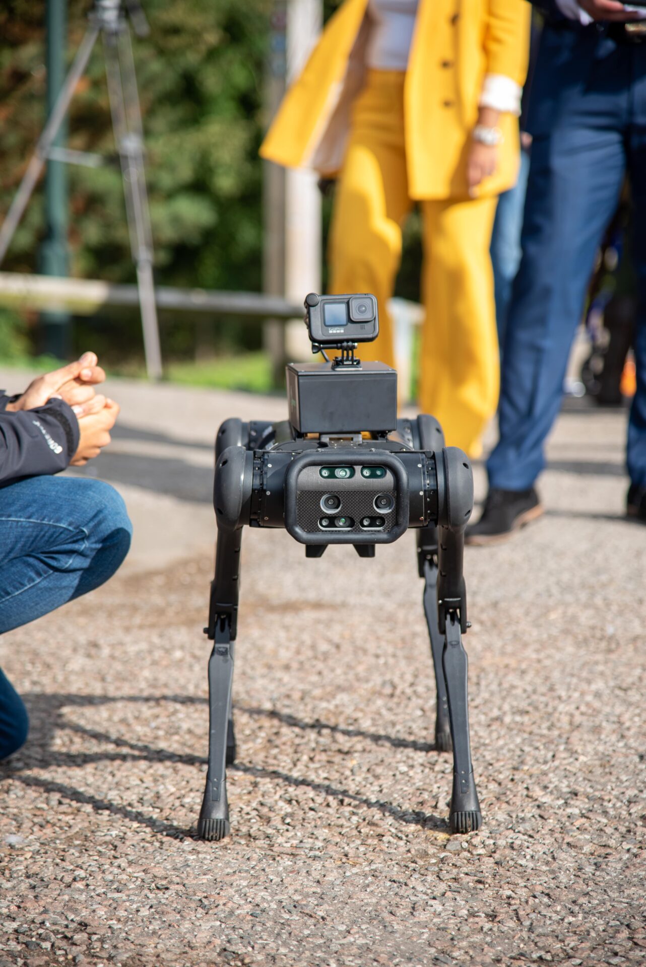 Newark & Sherwood News Journal Unique robot dog name by schoolboy ...
