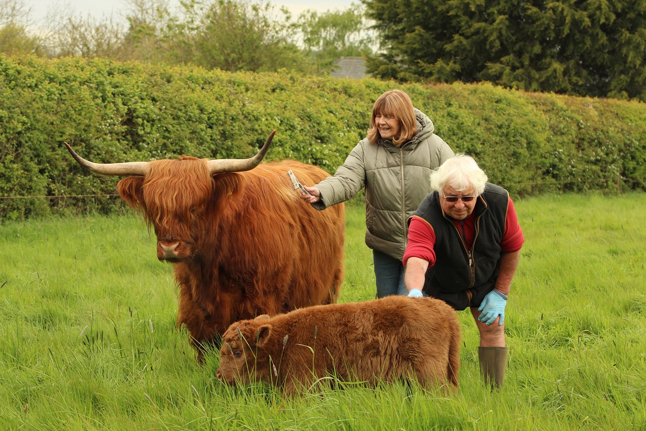 Newark & Sherwood News Journal Iconic animals to make debut at County ...
